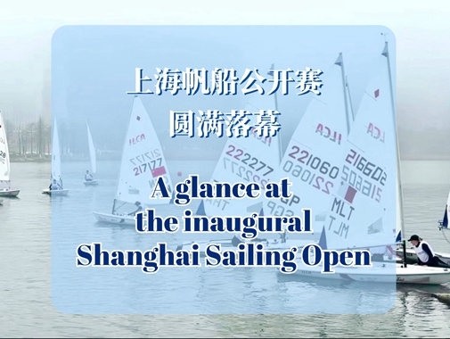 Lin-gang Special Area